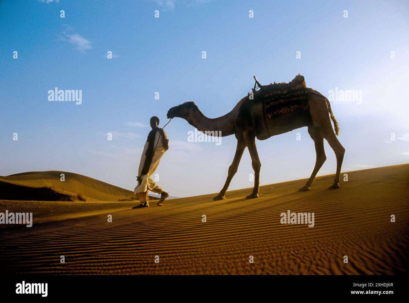 Sahara morocco man Banque de photographies et d’images à haute ...