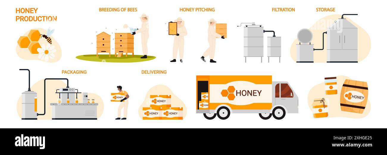 Processus industriel de production de miel, étapes de fabrication définies. Élevage d'abeilles ...