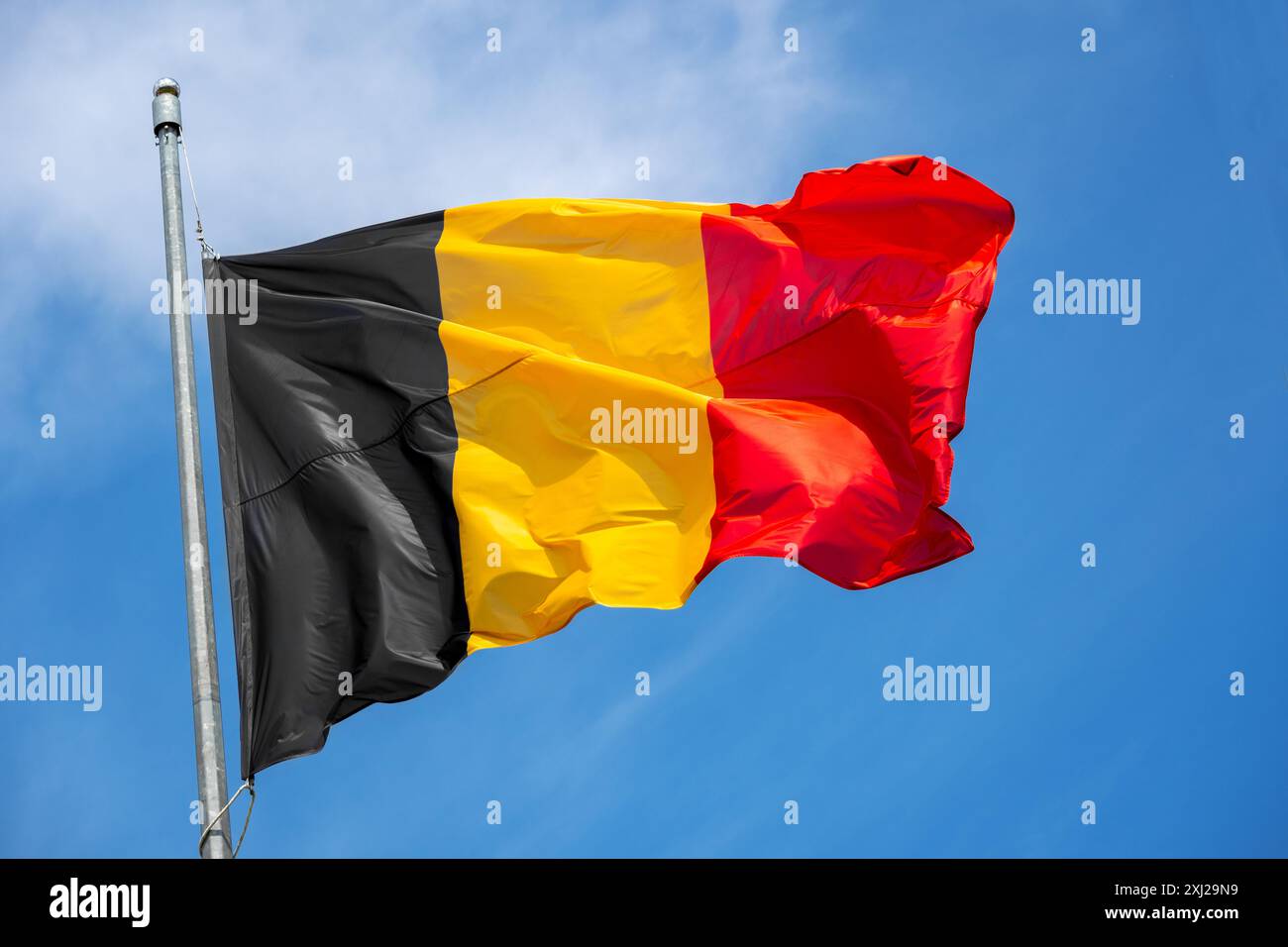 Insigne belge Banque de photographies et d’images à haute résolution ...