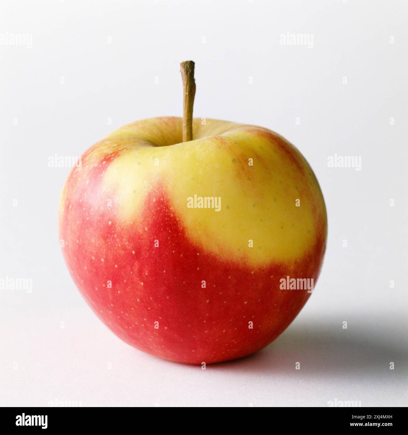 Pomme elstar Banque de photographies et d’images à haute résolution - Alamy