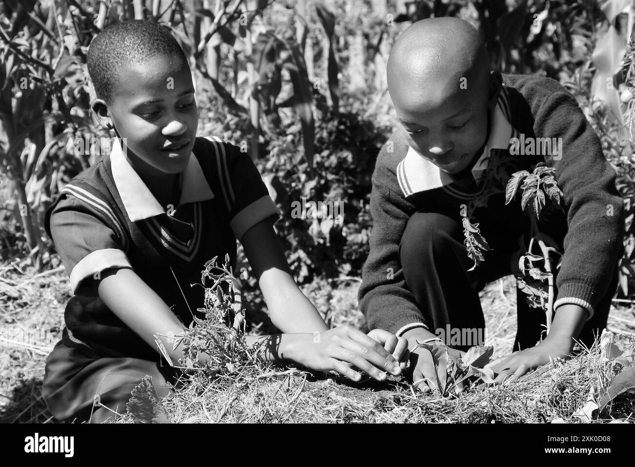 Uniformes scolaires africains Banque d'images noir et blanc - Alamy