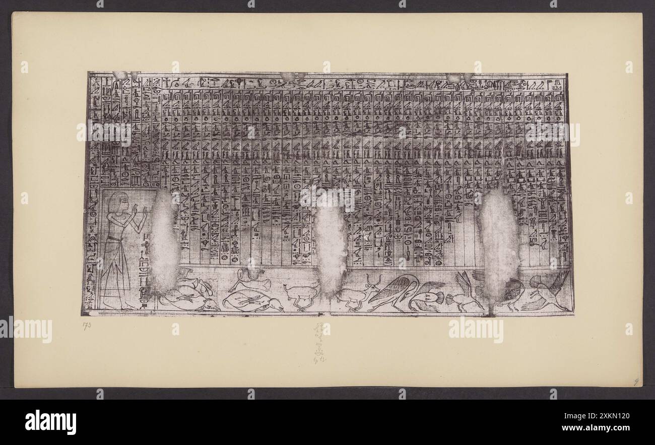 Papyrus égyptien ancien Banque de photographies et d’images à haute ...