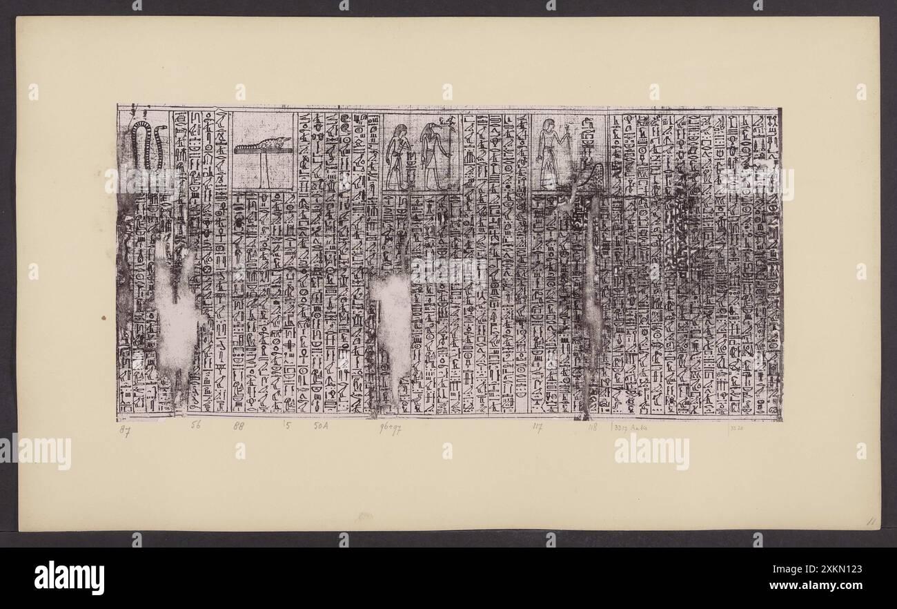 Papyrus égyptien ancien Banque de photographies et d’images à haute ...
