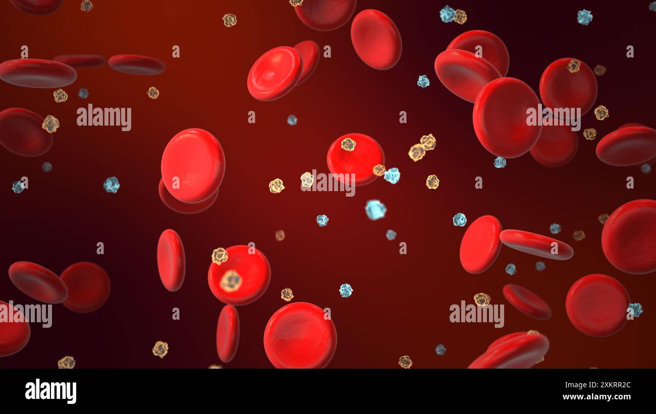 Insuline glucose Banque de photographies et d’images à haute résolution ...