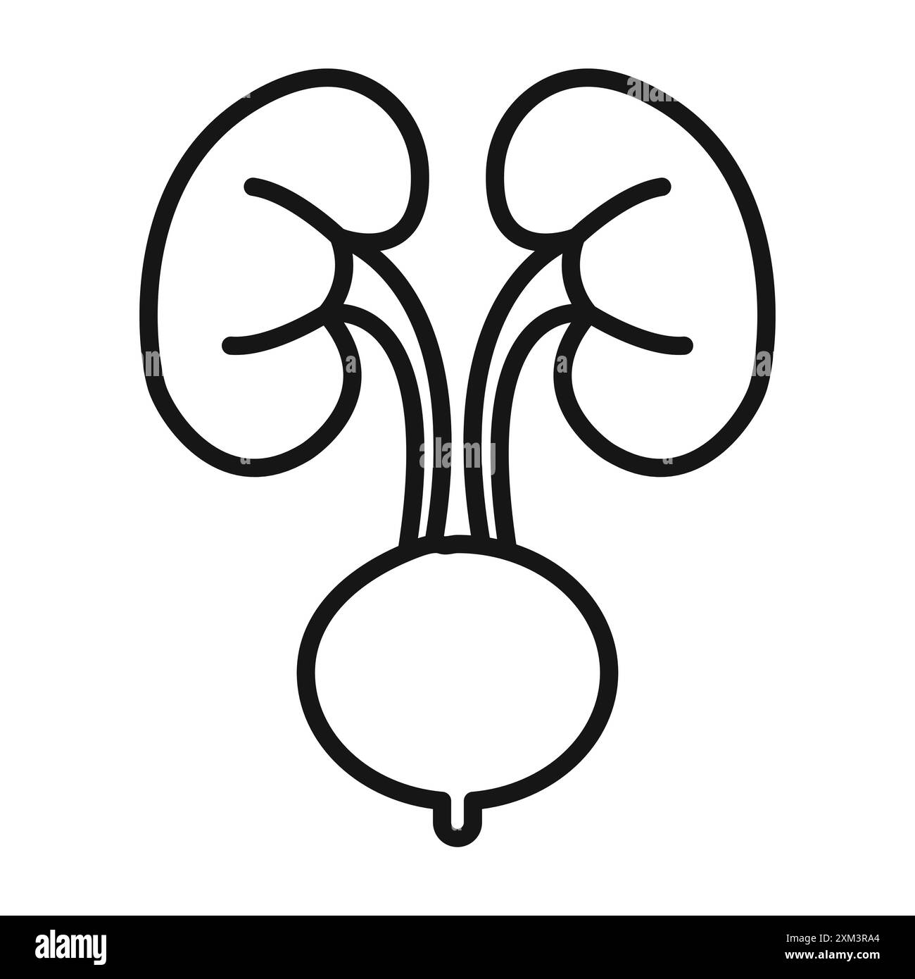 Infeccion urinaria Banque d'images noir et blanc - Alamy