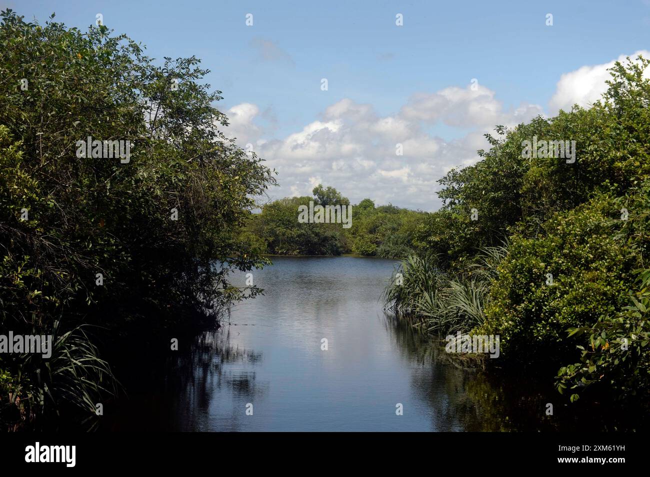 (240726) -- GAMPAHA, 26 juillet 2024 (Xinhua) -- cette photo montre une ...