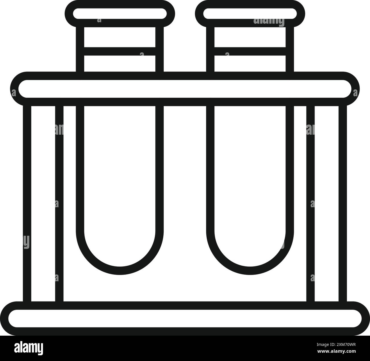 Deux tubes à essai placés dans un portoir pour tubes à essai utilisés pour une expérience par un ...