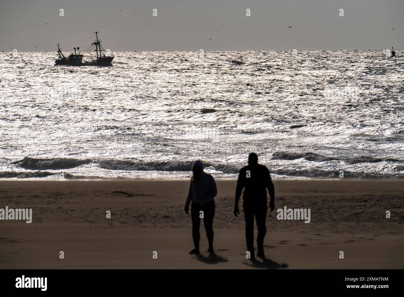 Quatre poissons sur la plage Banque de photographies et d’images à ...