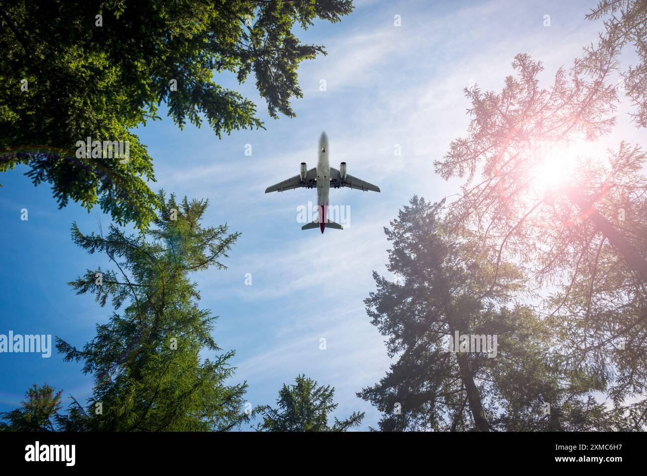 Avion volant au dessus des arbres Banque de photographies et d’images à ...