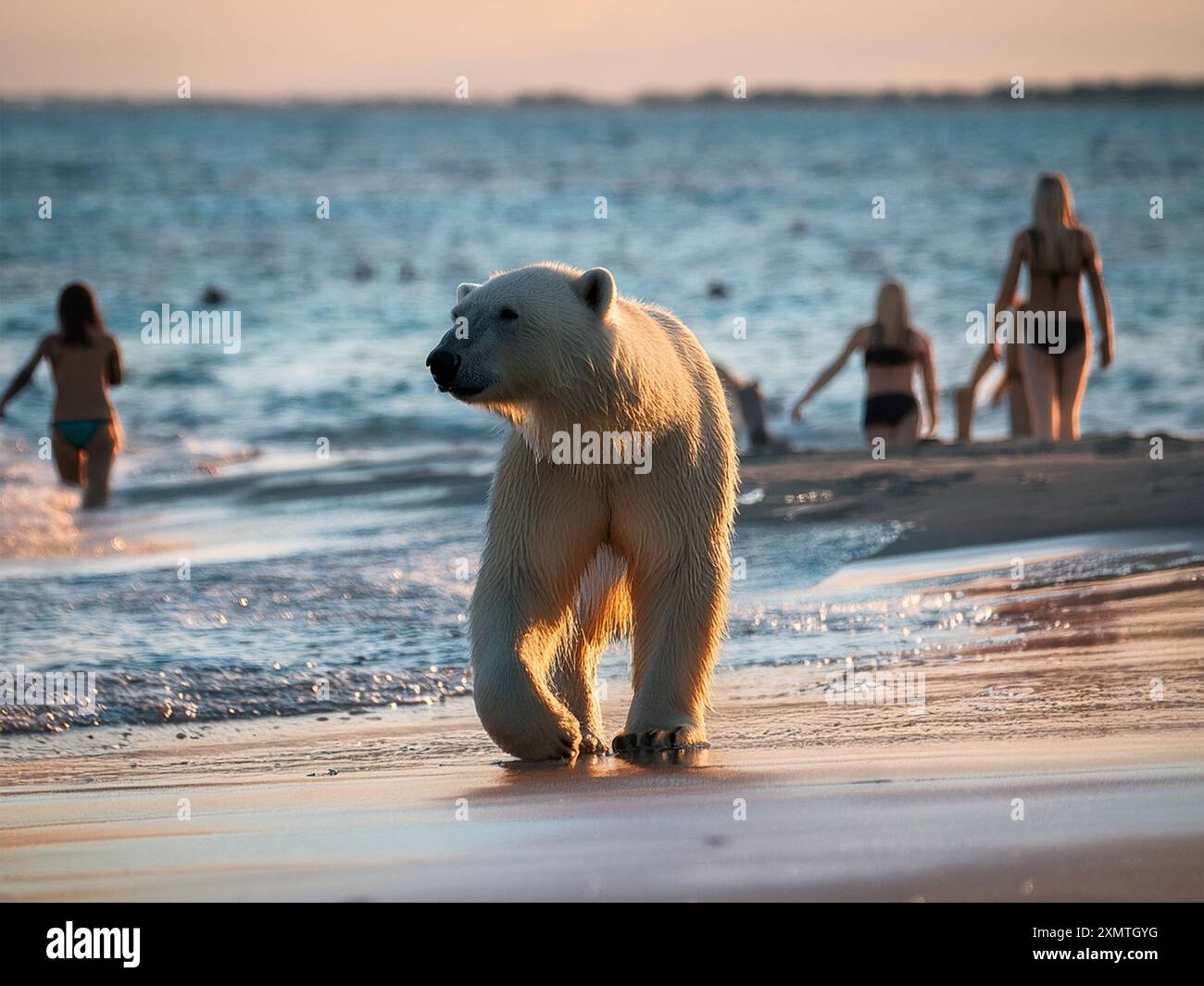Que Cache Lours Polaire Sur Une Plage Pix | Chtoby Pomnili