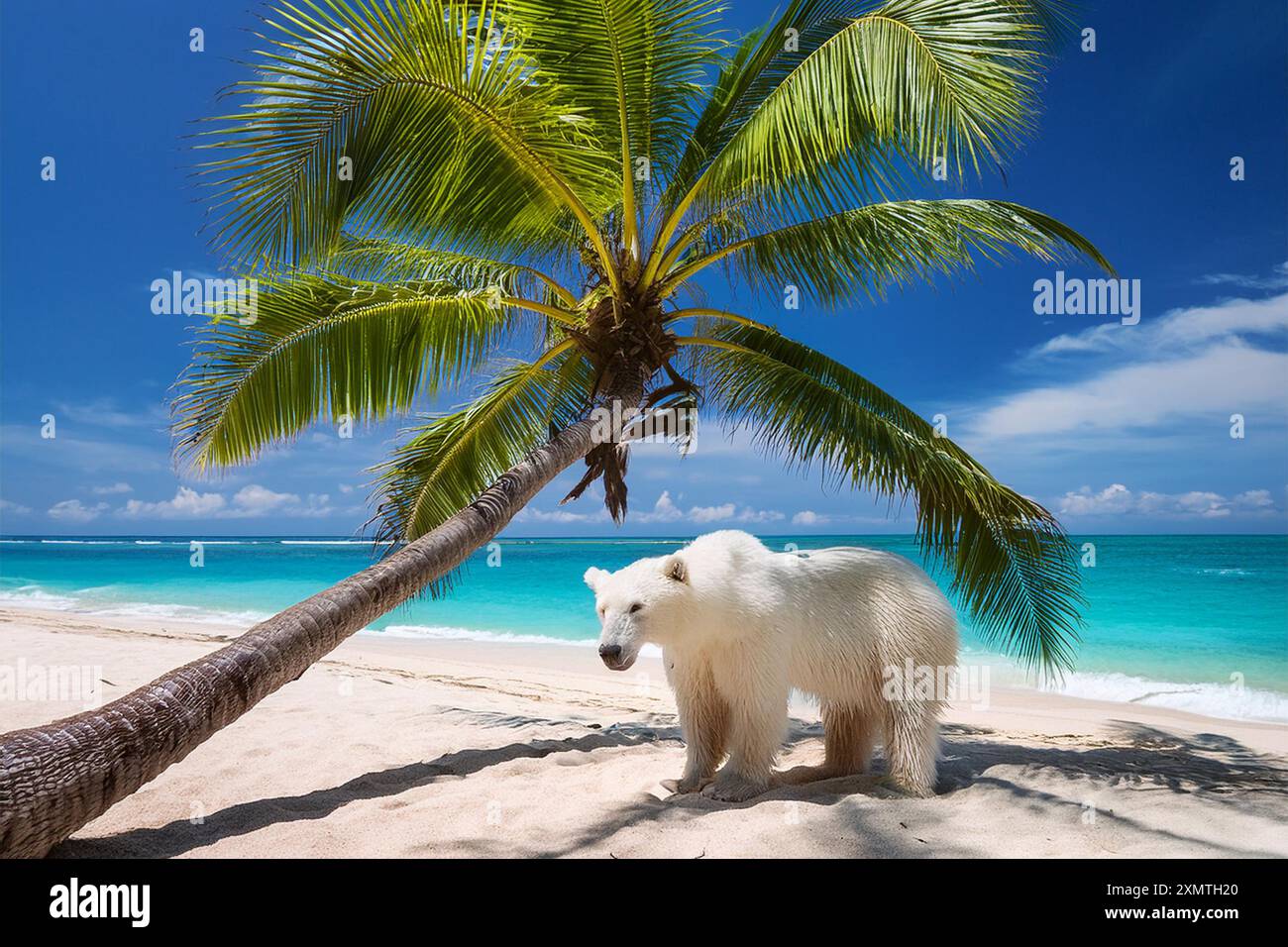Ours Polaire Sur Une Image De Plage Retrouvez L Image Originale De La ...