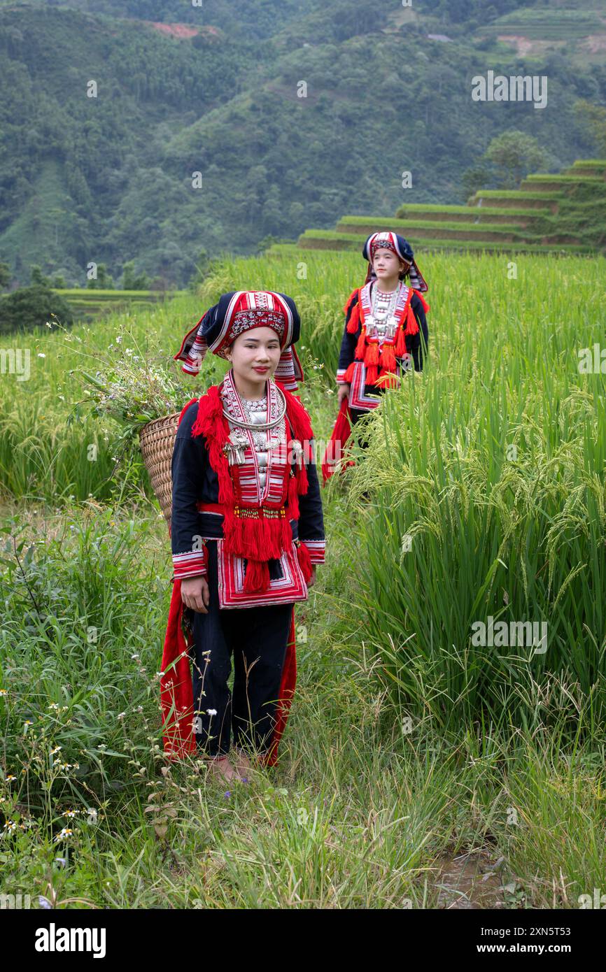 Femmes Dao rouges ethniques debout dans les rizières en terrasses dans ...