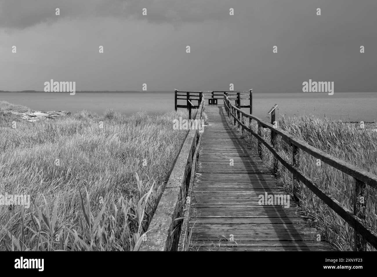 Amrum island allemagne Banque d'images noir et blanc - Alamy