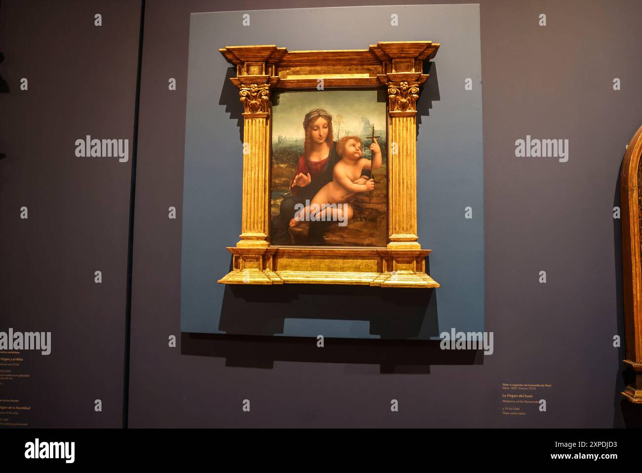 Madone de la fusée, par le peintre italien de la Renaissance Léonard de Vinci dans la salle de ...