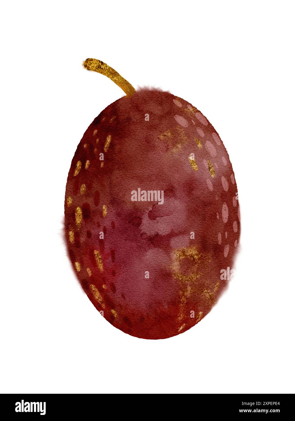 Une superbe illustration d'une prune, mettant en valeur magnifiquement ...