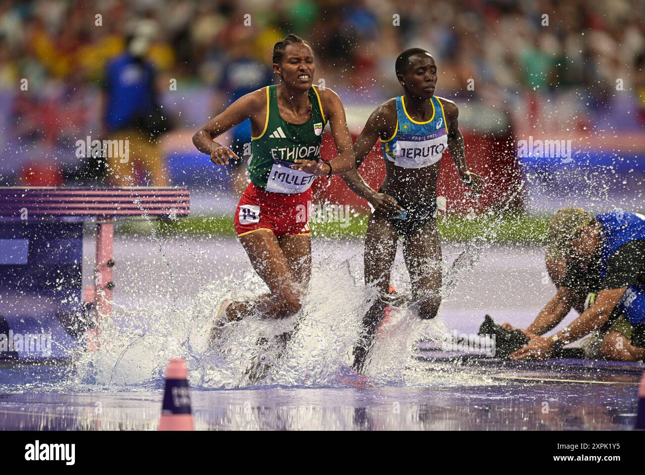 SAINT-DENIS, PA - 06.08.2024 : STEEPLECHASE du 3000M FÉMININ - Jeux Olympiques de Paris 2024 ...