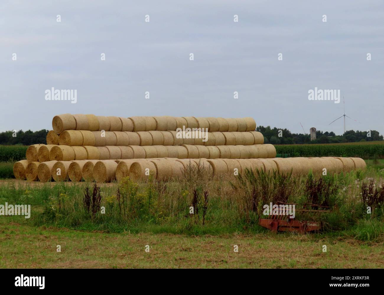 Stable litter Banque de photographies et d’images à haute résolution ...