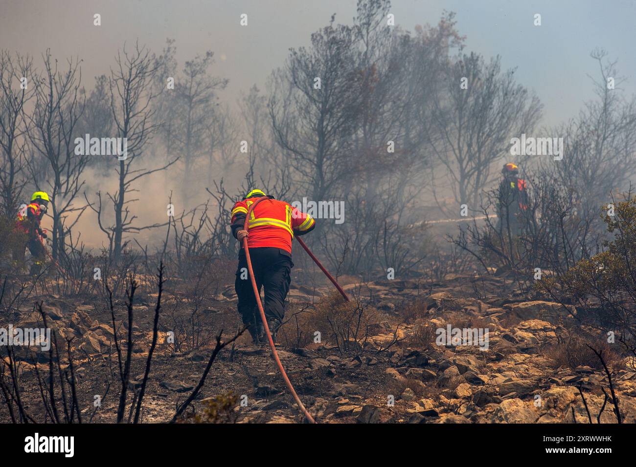 Athènes, Grèce. 12 août 2024. Les pompiers tentent d'éteindre un feu de ...