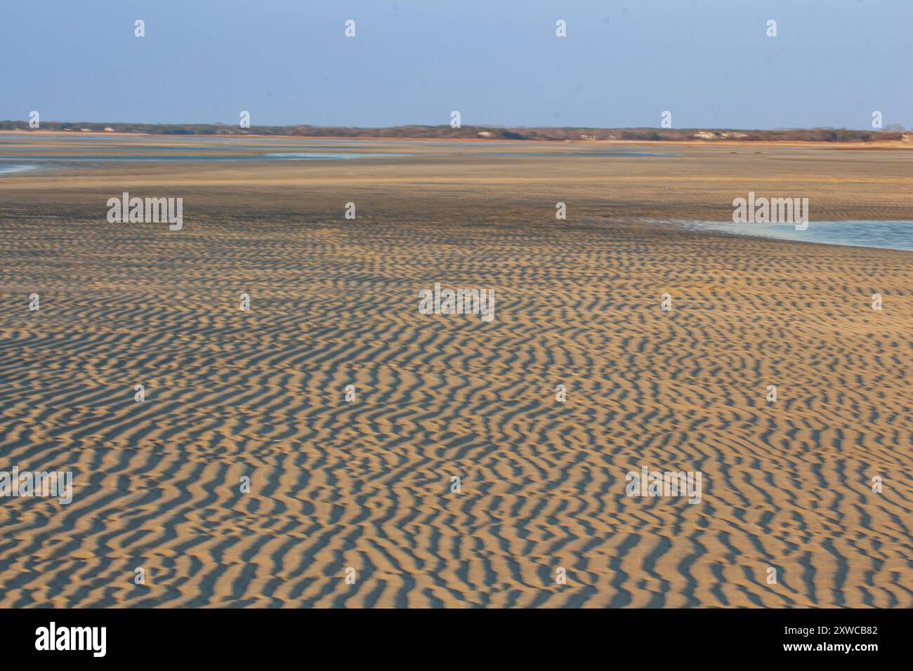 Bassins de marée à marée basse Banque de photographies et d’images à ...