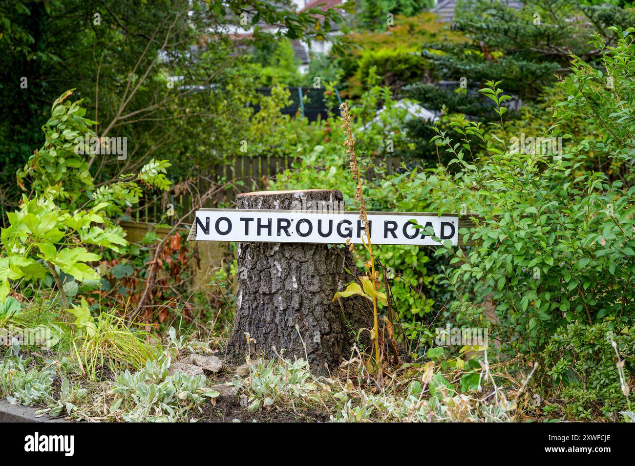 No through road sign uk Banque de photographies et d’images à haute ...