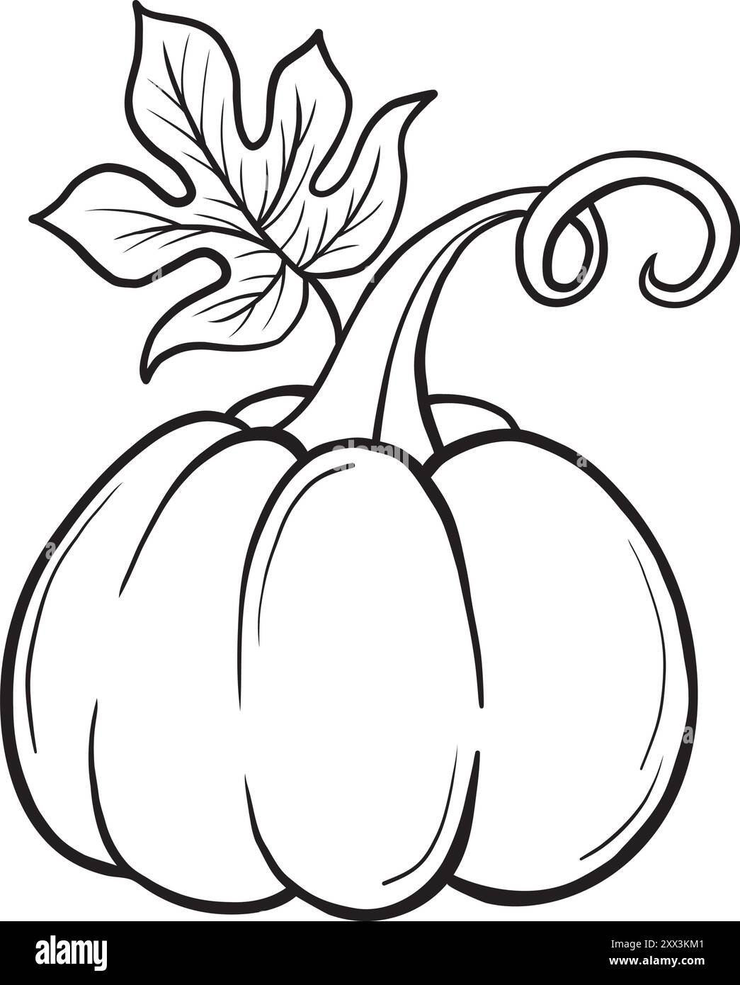 Contour citrouille d'automne. Illustration vectorielle. Dessin au trait ...