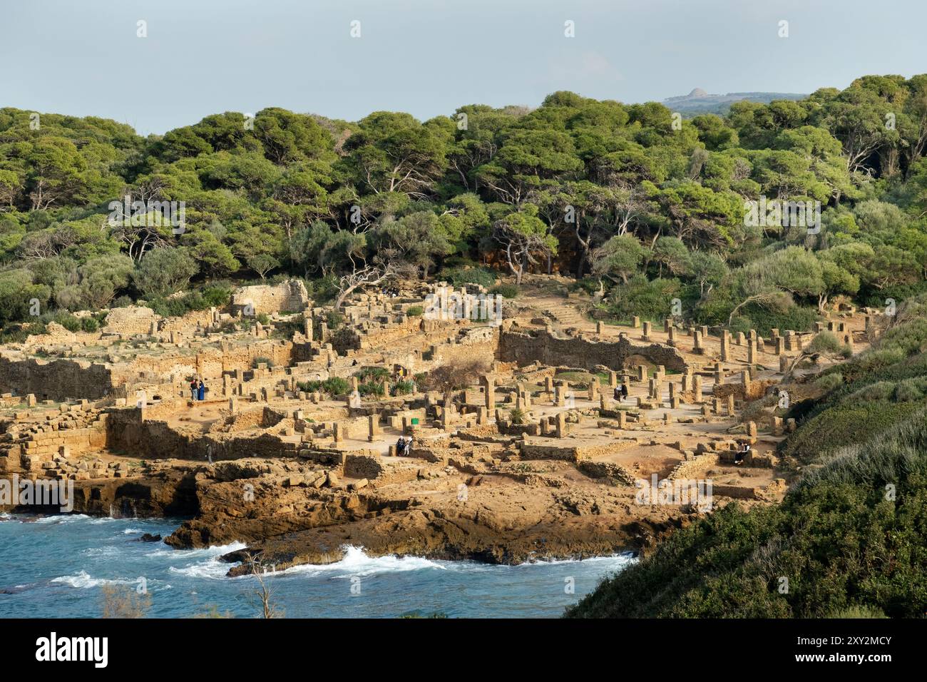 Parc archéologique de tipaza Banque de photographies et d’images à haute résolution - Alamy