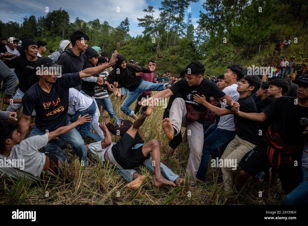 Toraja Utara, Sulawesi du Sud, Indonésie. 27 août 2024. Un certain ...