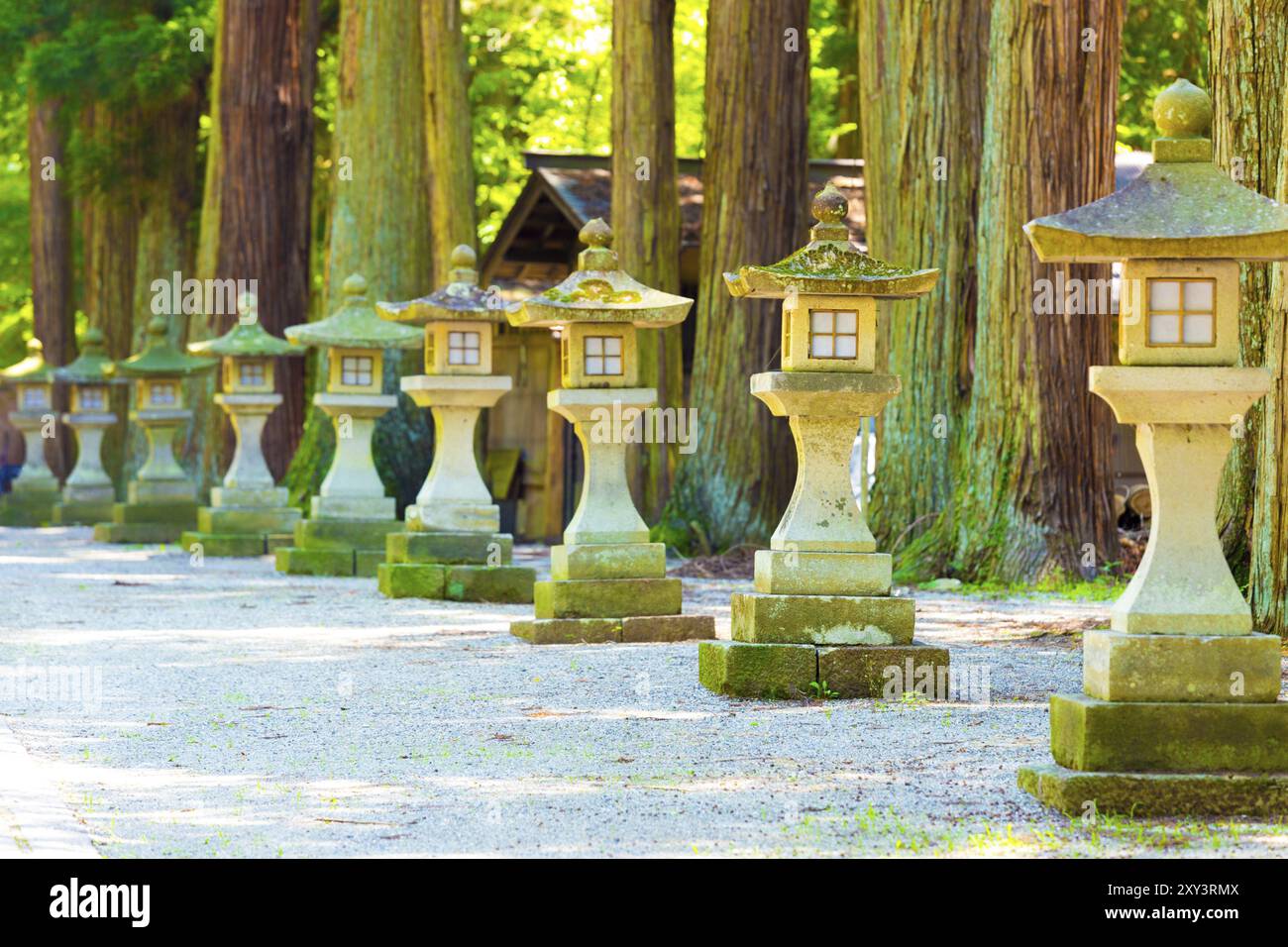 Des lanternes traditionnelles japonaises de taille moyenne alignées en ...