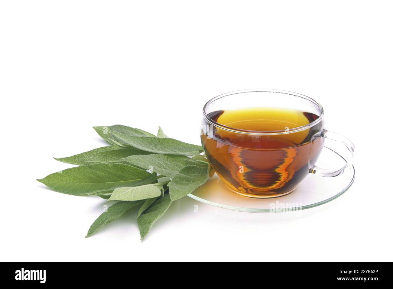 Feuille de rose sauge Banque de photographies et d’images à haute ...