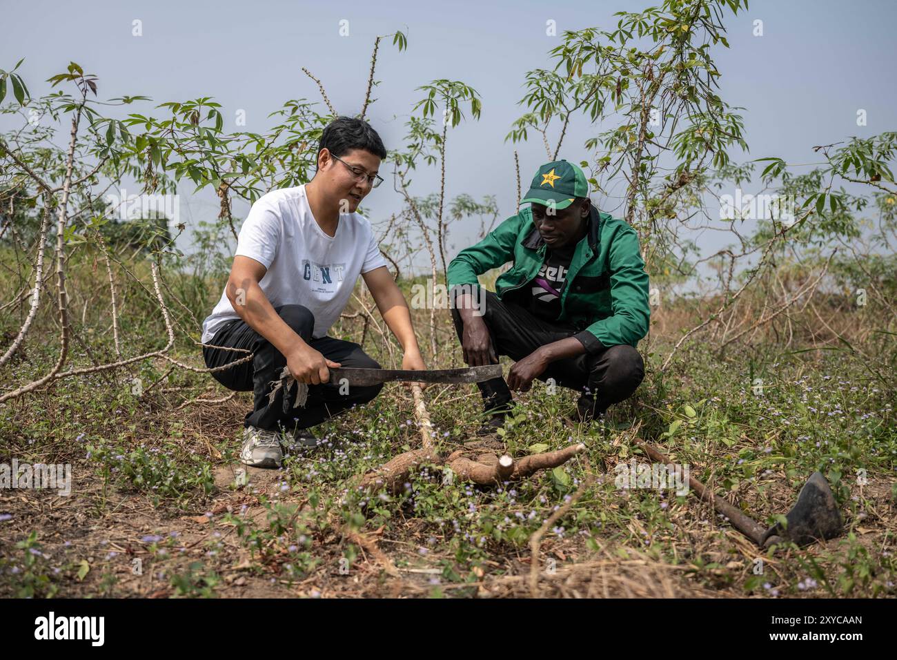 (240829) - BRAZZAVILLE, 29 août 2024 (Xinhua) - L'expert chinois Li ...