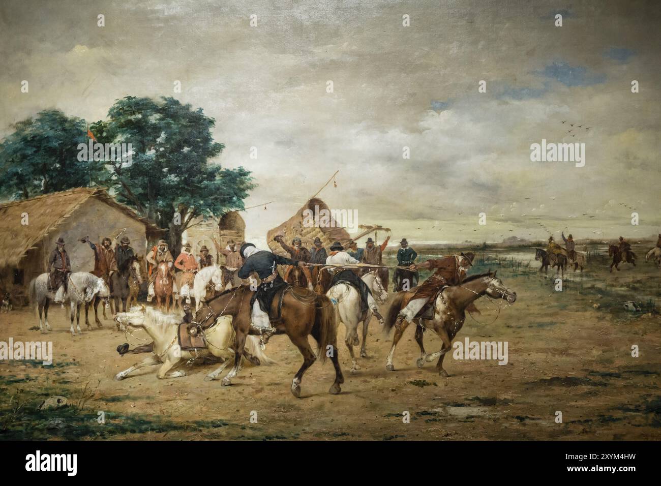 Pato de américa del sur Banque de photographies et d’images à haute ...