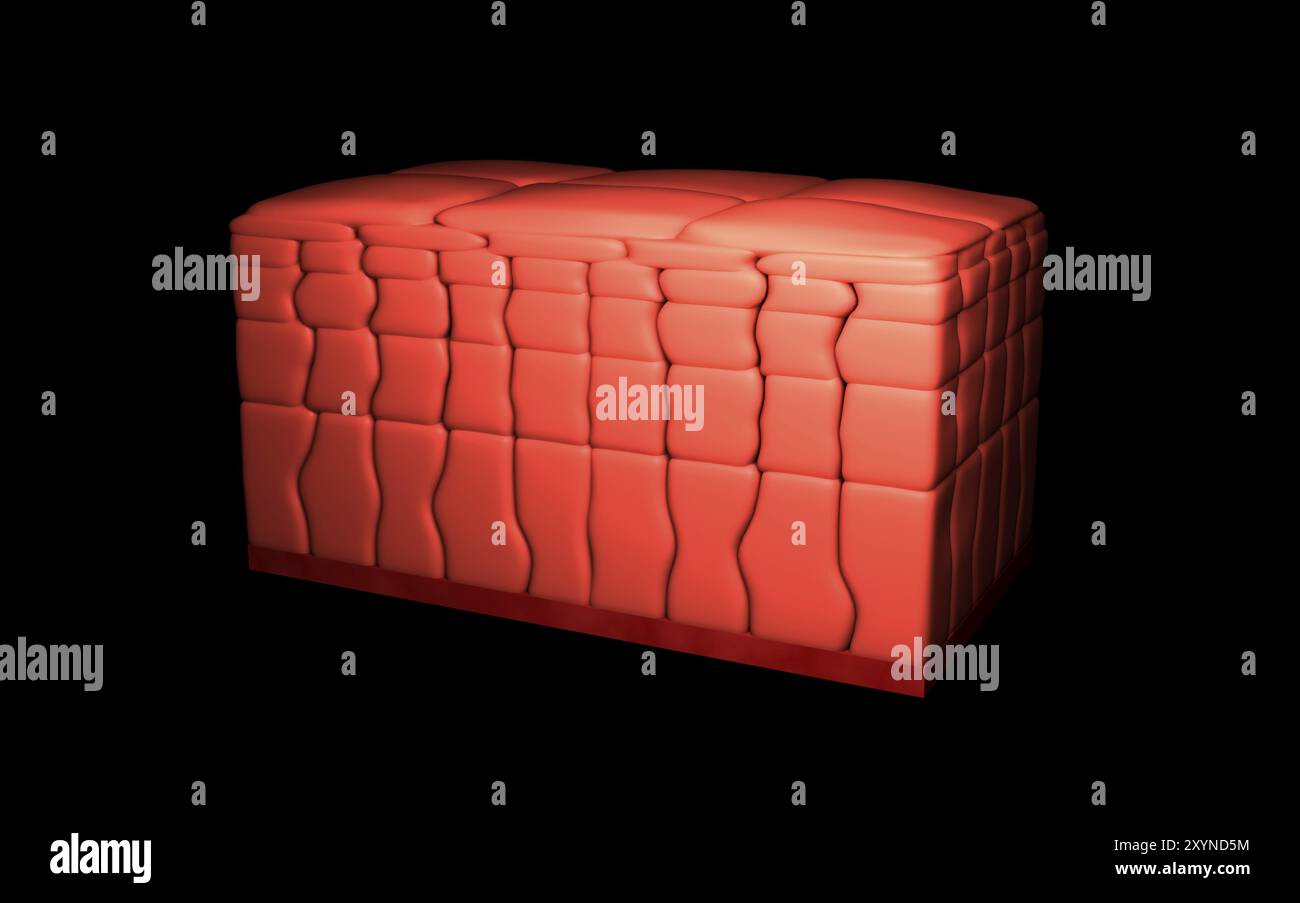 épithélium squameux stratifié Banque de photographies et d’images à ...