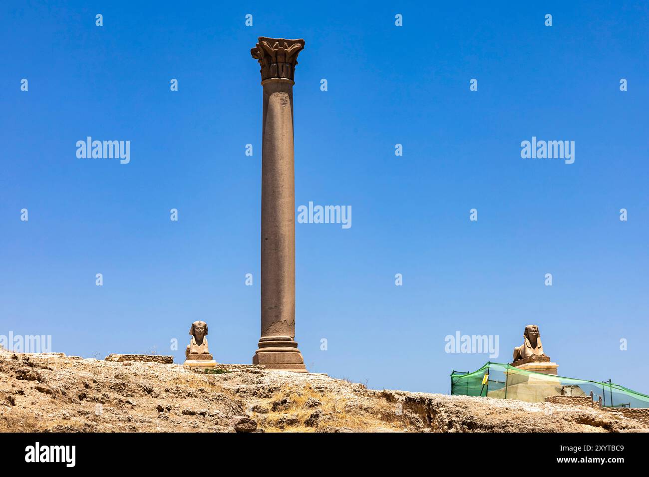Serapeum d'Alexandrie, ancien pilier de Pompée, au centre-ville ...