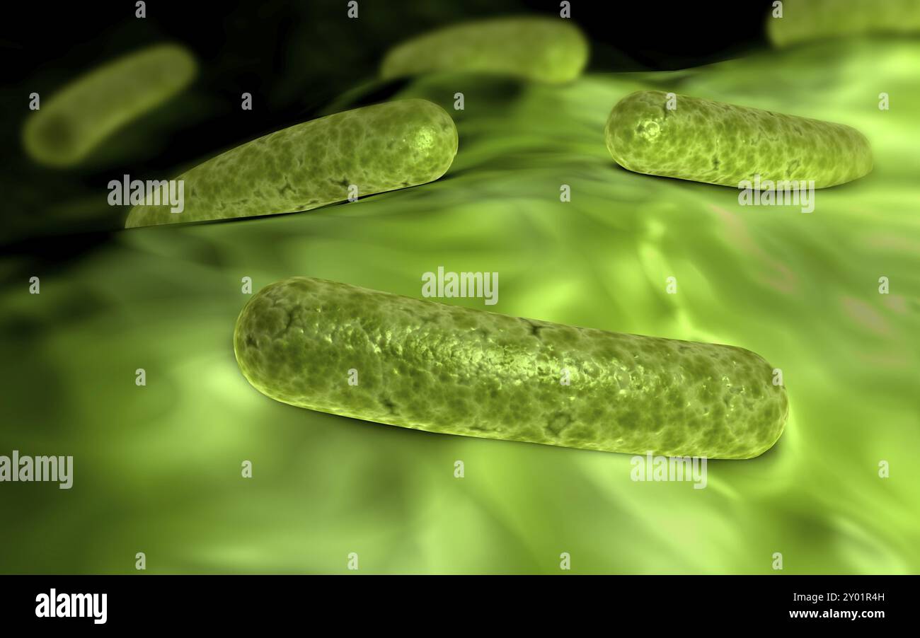 Vue microscopique Banque de photographies et d’images à haute ...