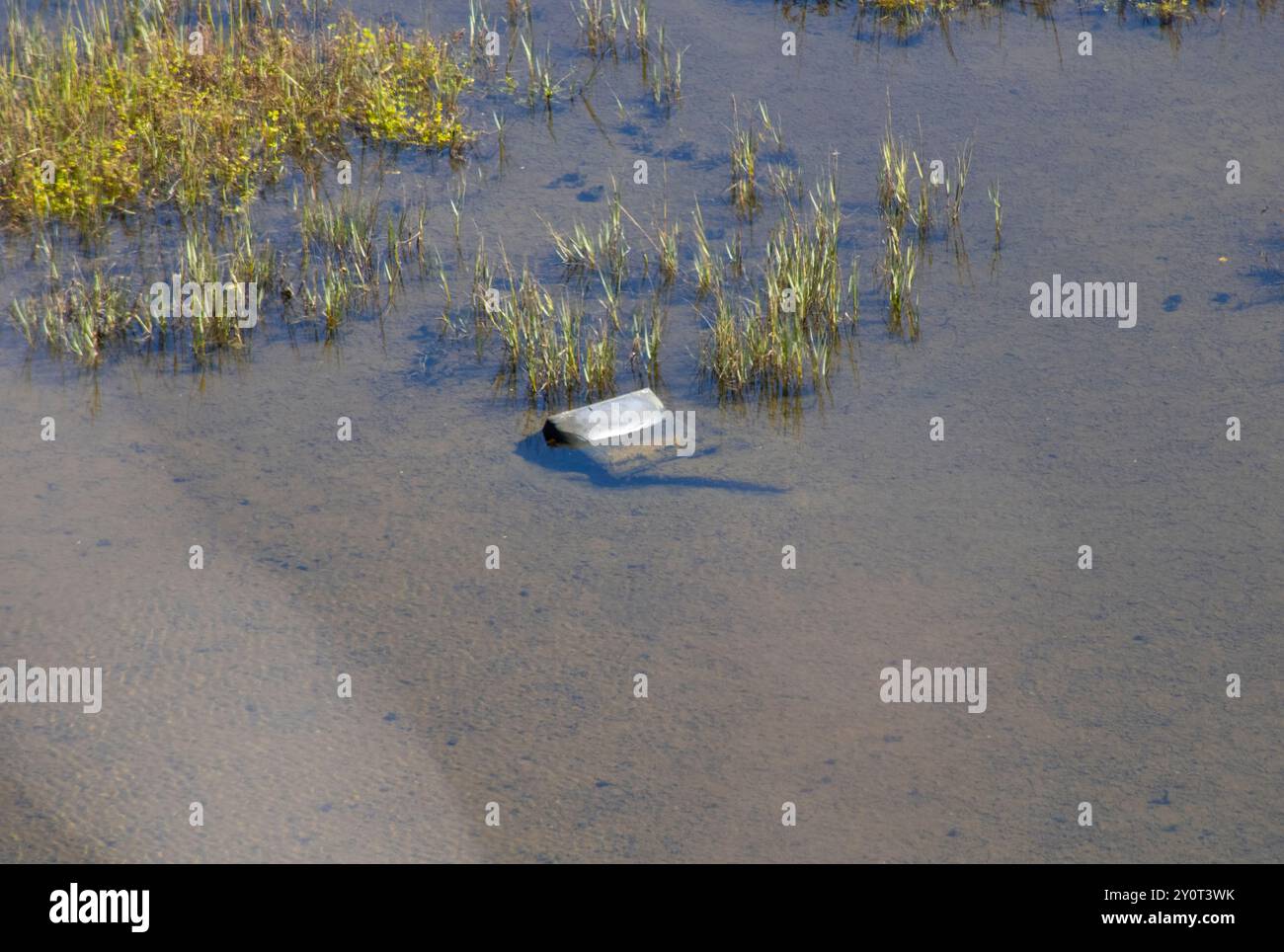 Zones humides flottantes Banque de photographies et d’images à haute ...