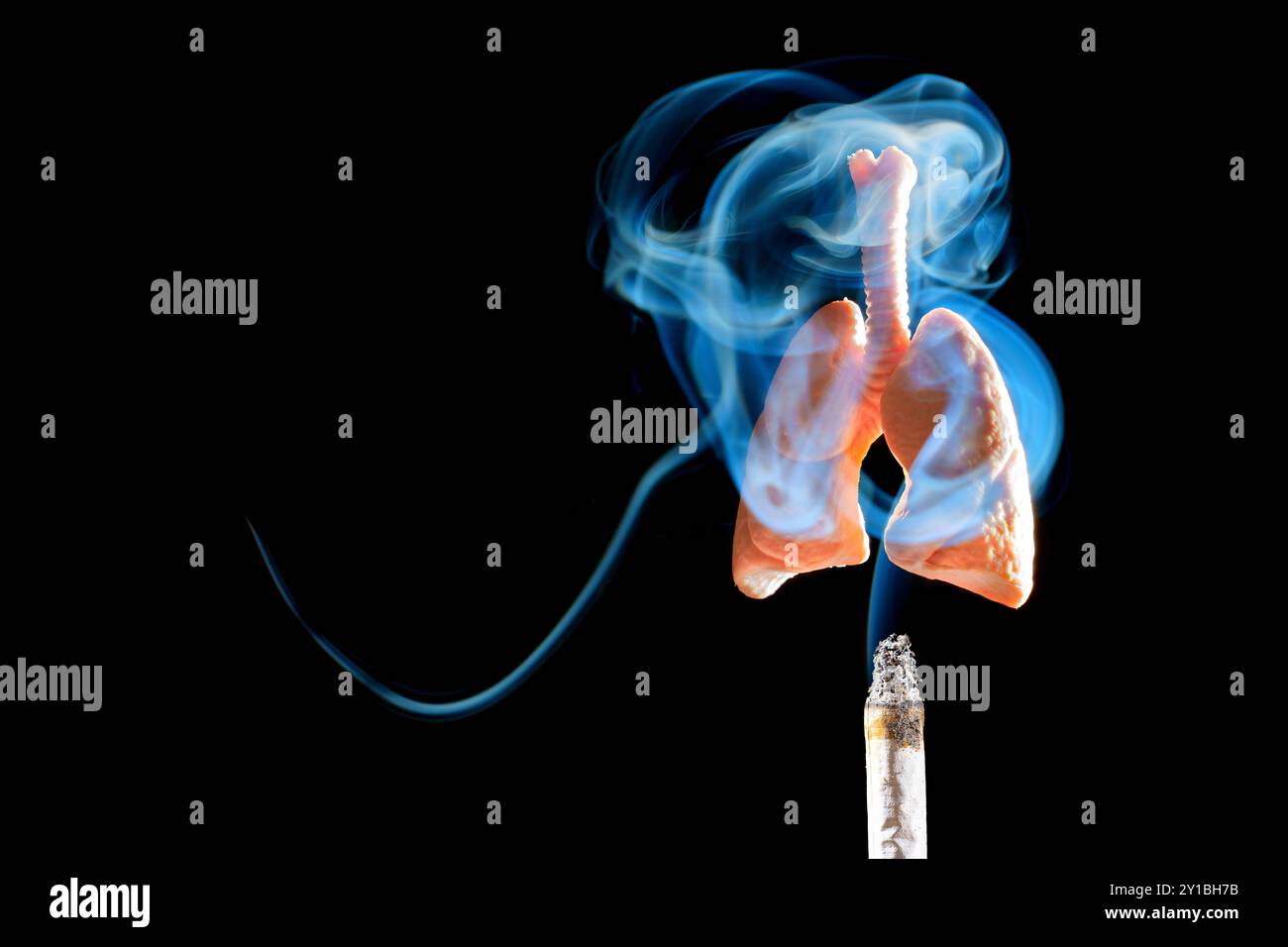Poumons humains entourés de fumée bleue émise par une cigarette ...