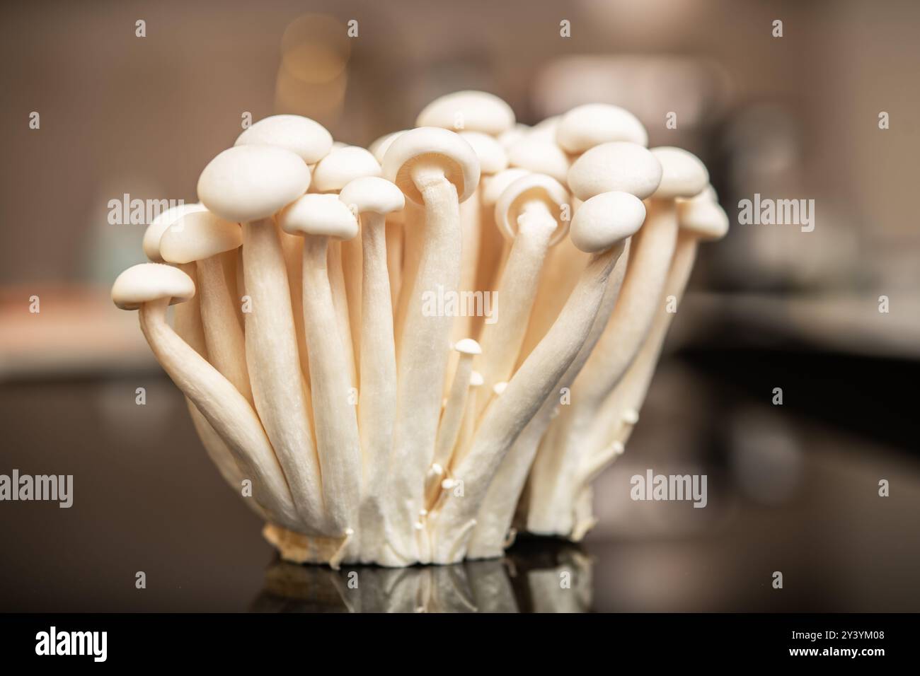 Les champignons Enoki, connus pour leurs longues tiges et leurs petites ...