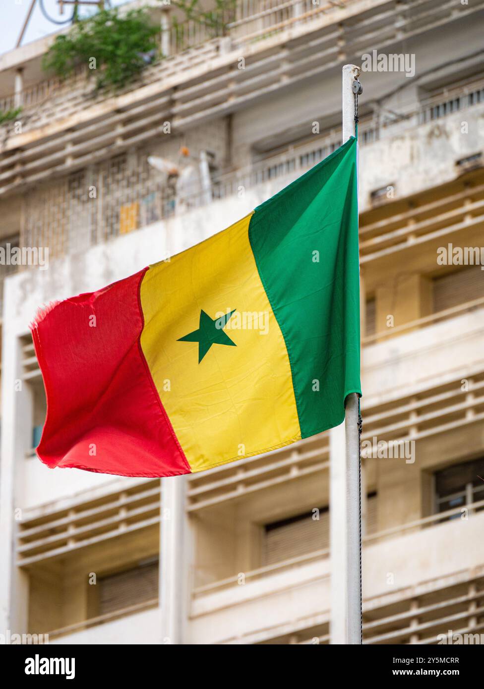 Drapeau du Sénégal volant dans le centre de Dakar avec de vieux ...