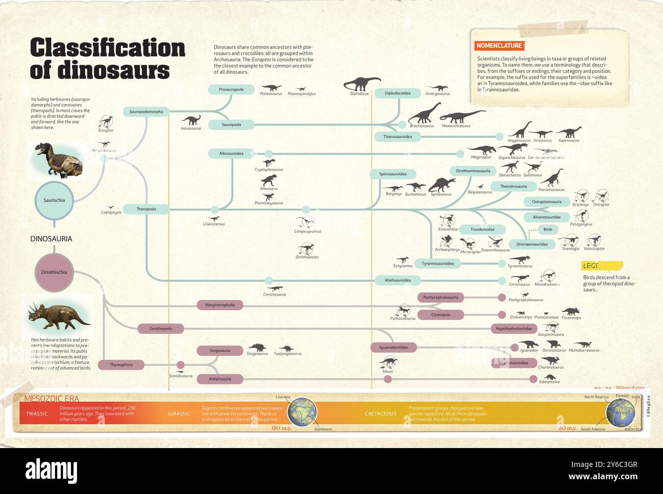 Escala de clasificación Banque de photographies et d’images à haute ...