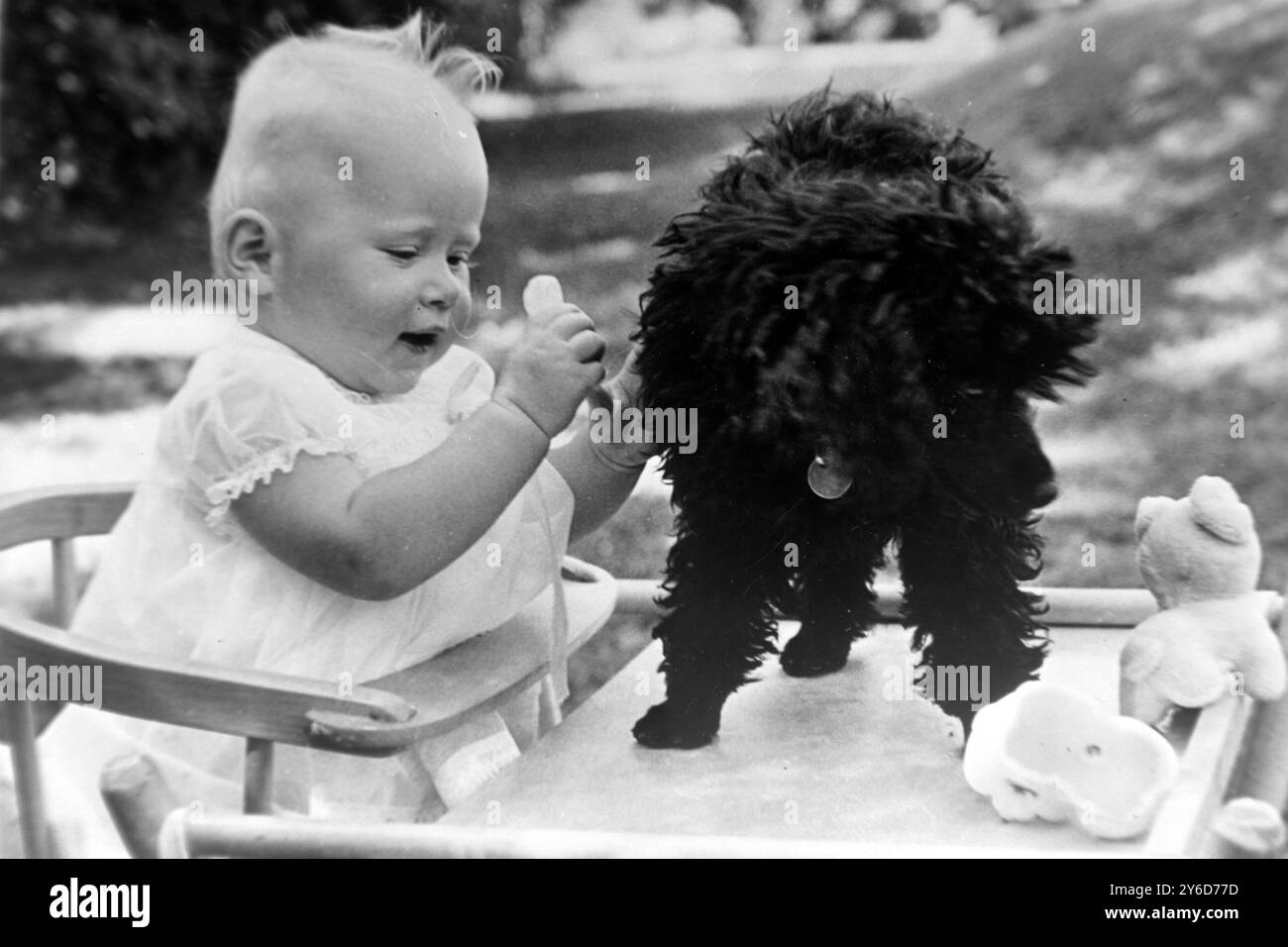 Catherine ferner Banque de photographies et d’images à haute résolution ...