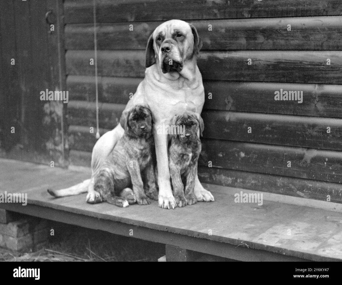 Hellingly sussex Banque d'images noir et blanc - Alamy