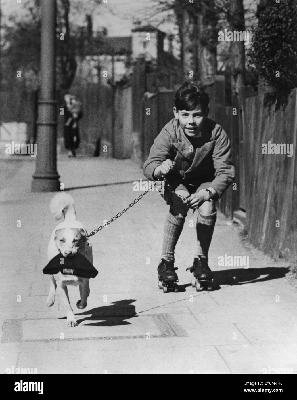 Paul Wilson et son chien Mickey 1938 ont souvent été vus en descente ...