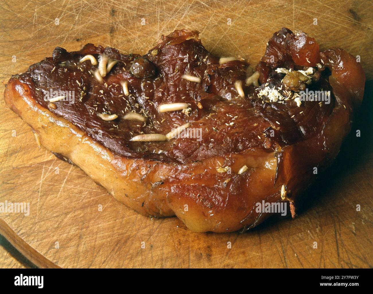 Asticots sur la viande Photo Stock - Alamy