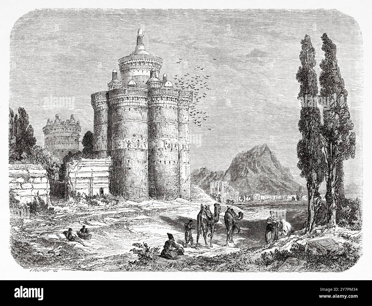 Camel tour Banque d'images détourées - Alamy