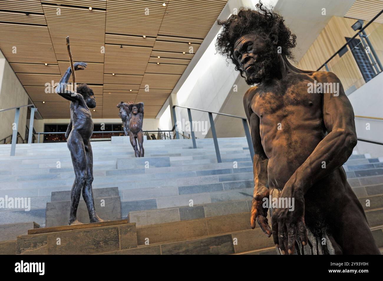 Homo sapiens Banque de photographies et d’images à haute résolution - Alamy