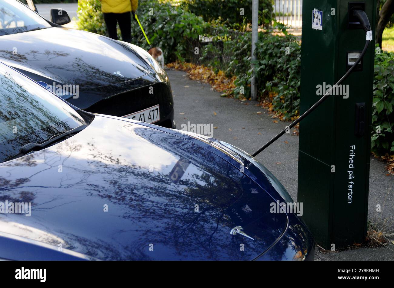 Copenhagen/ Denmark/11 Oct. 2024/Tesla les voitures électriques se ...