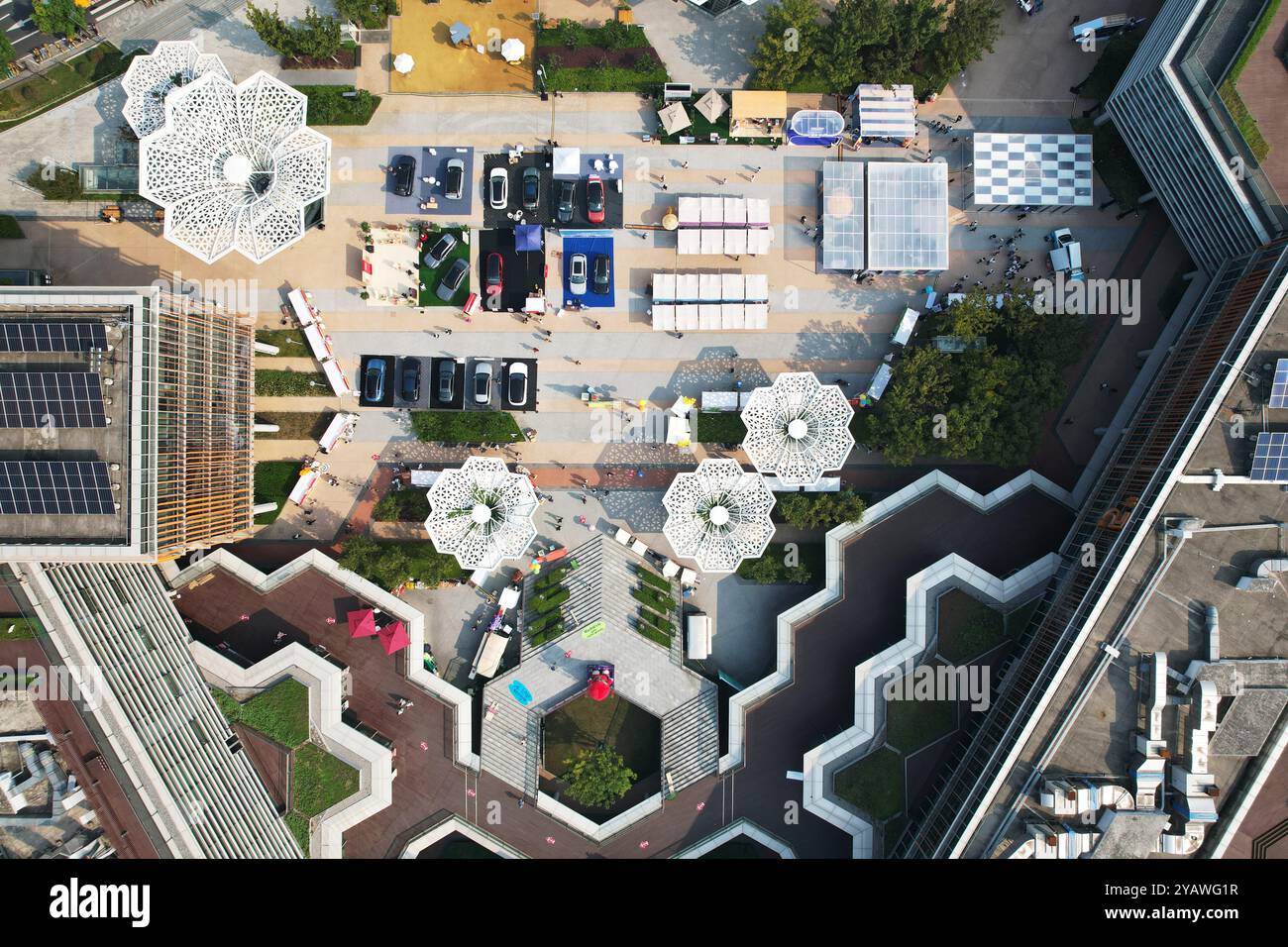 Le parc d'innovation écologique numérique d'Alibaba ouvre ses portes au ...