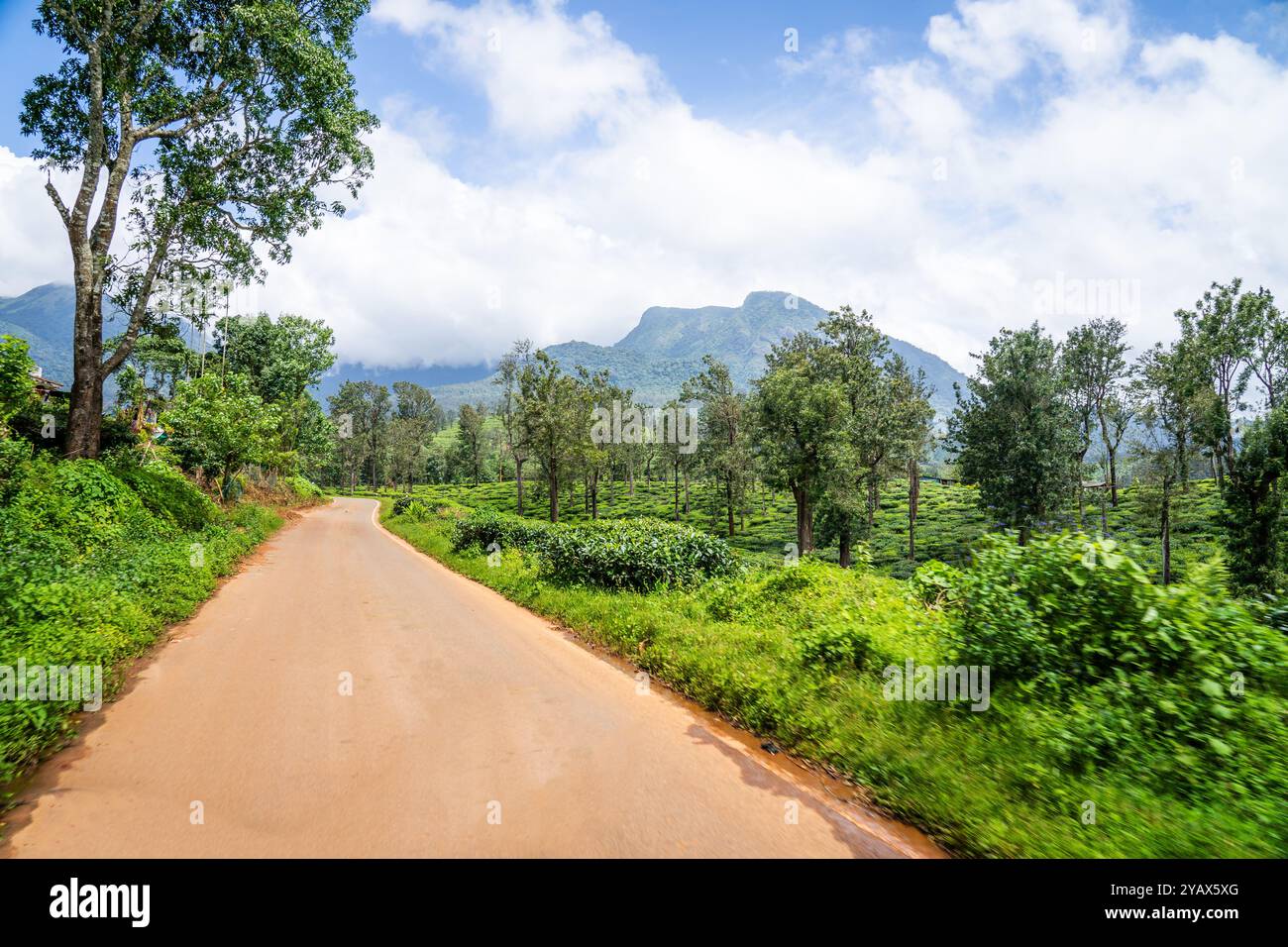 Yellamalai de Gudalur, Tamil Nadu - Un village de plantation dans le ...