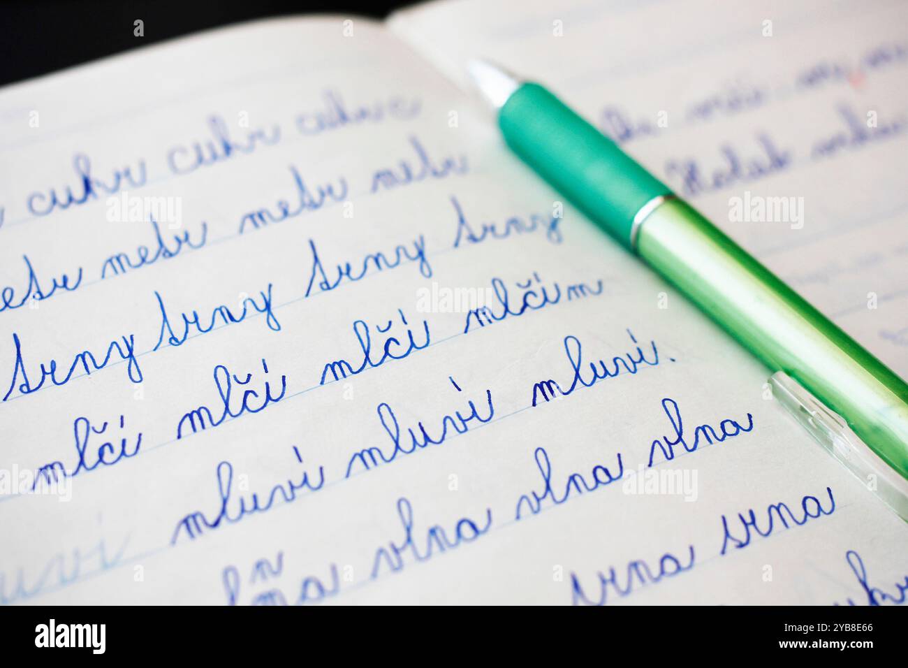 Gros plan de mots tchèques écrits par un enfant en cursive dans un ...