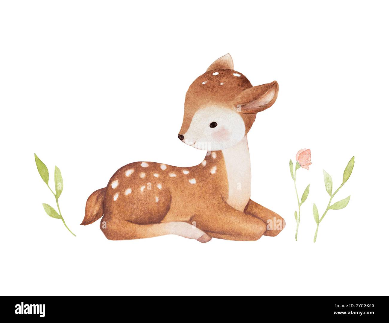 Cute Deer Watercolor Clipart, Spring Flower Aquarelle, Baby Deer ...